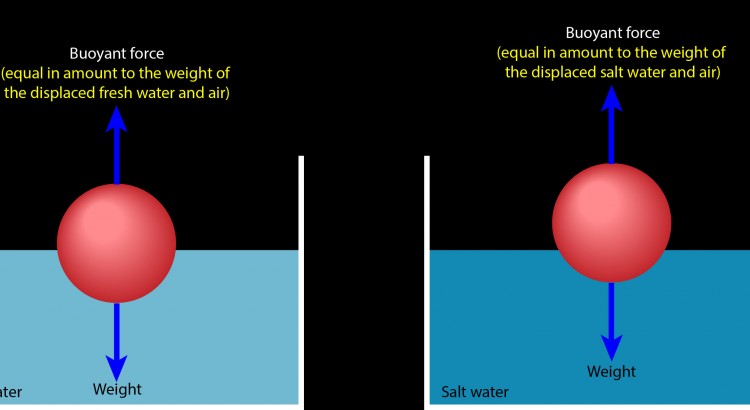 Why Do Things Float Better In Salt Water Than In Fresh Water How 